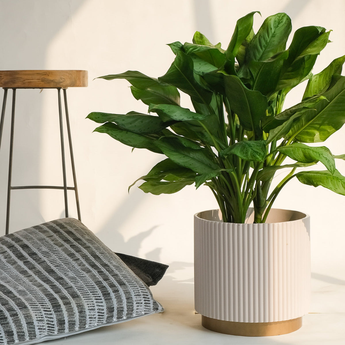 Plant styling for dummies: Getting the perfect pot placement.